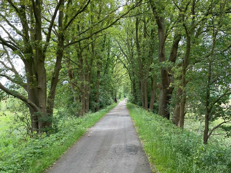 Glinder Au - Von Kronshorst bis zur Bille in Billwerder - mit Glinde ...