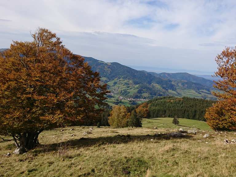 Von Hinterzarten via Hinterwaldkopf nach Kirchzarten /Himmelreich ...