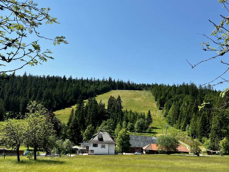 🙋‍♂️🙋🙋‍♂️🙋‍♀️von Kaltenbronn zum Hotel 🏨 zur alten Mühle 🌤 Hohloturm ☺️ ...