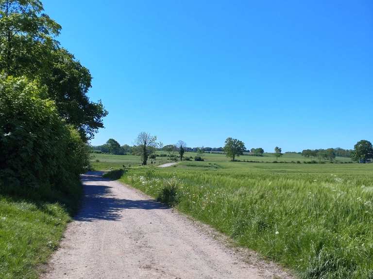 Vom Süsswasser zum Salzwasser - Timmendorfer Strand, Hemmelsdorfer See ...