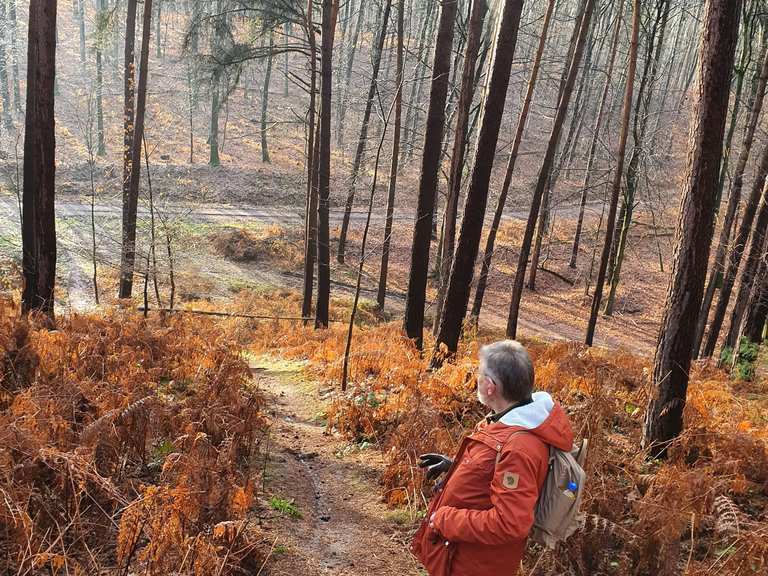 Hohe-Mark-Steig 24 - Rundtour 14 - Klosterfrauen und Mönche | Wanderung ...