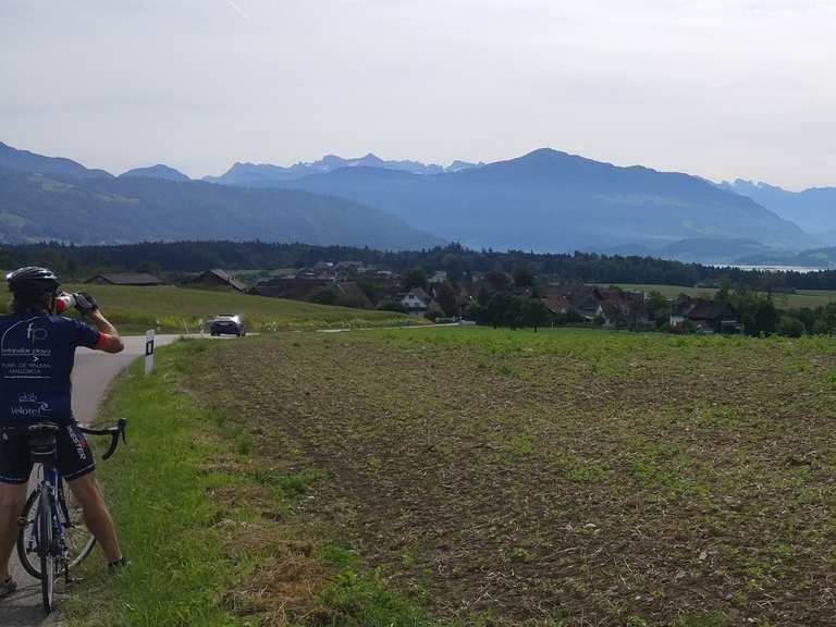 Anfordern a A. , Rifferswil, Cham | Rennrad-Tour | Komoot