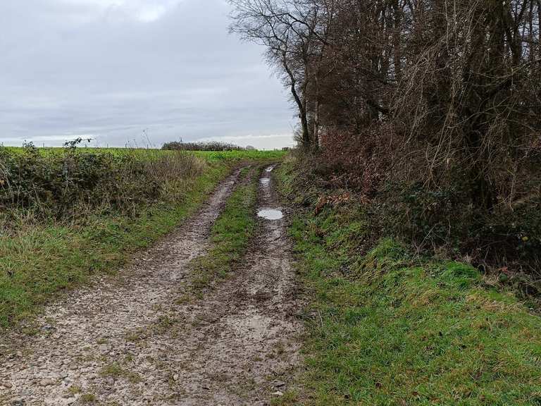 Whiteways, Sutton down, Oxen down loop | e-mountain bike ride | Komoot
