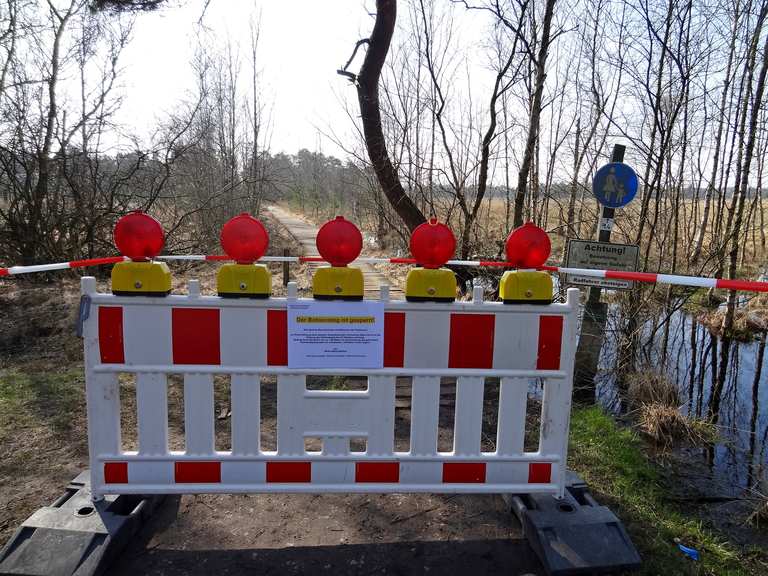 Behringer Heide 🏞 Suhorn ⛰ (Pietzmoor) ⛏ Tütsberg 🏔 Runde | Wanderung ...