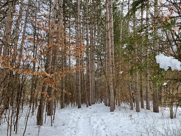Snowshoe Hike on Ridge View Trail: Osceola Loop 2022-12-28 | Wanderung ...