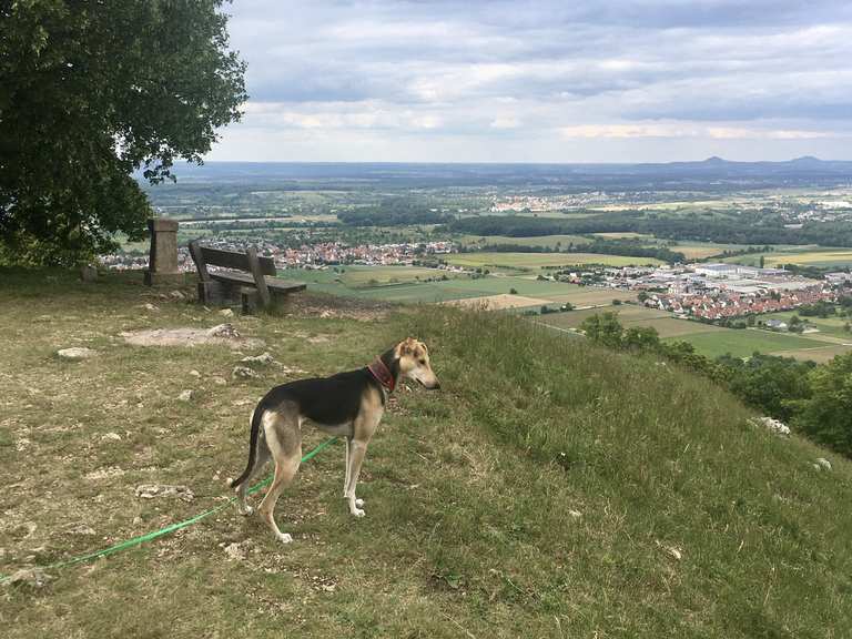 Von Bissingen auf die Teck | Wanderung | Komoot