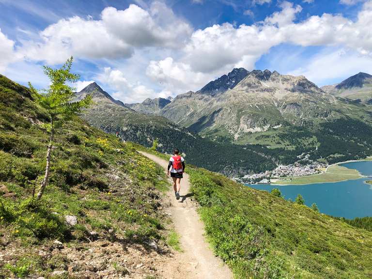 Trail running the Bernina Tour – the highest mountain in the Eastern ...
