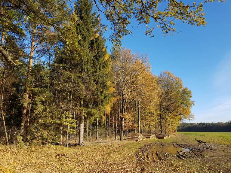 Frostiger November zwischen Commerau und Milkel | hike | Komoot