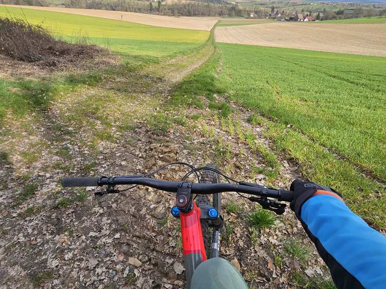 Frühlingshafte MTB Runde | Mountainbike-Tour | Komoot