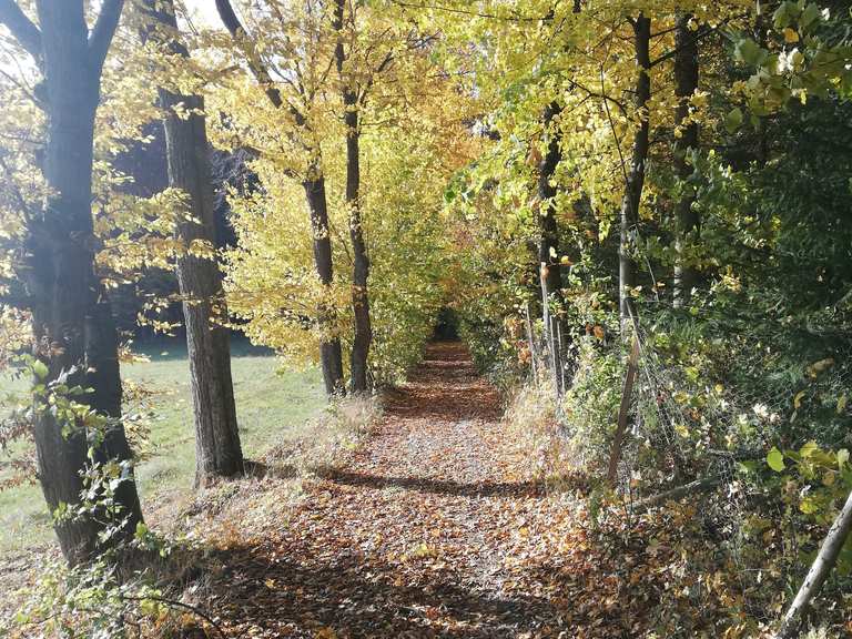 Burggaillenreuth • Wichsenstein • Wolfsschlucht | Mountainbike-Tour ...