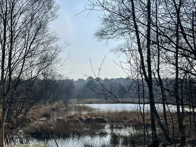 schöne Fahrradtour 🚴‍♀️🌞Oberalsterniederung, Götzberg, Gehege Endern ...