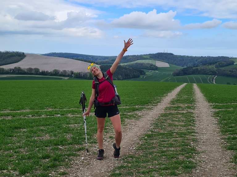 Stage 2: Coombe to Littleton Farm — South Downs Way | wandeling | Komoot