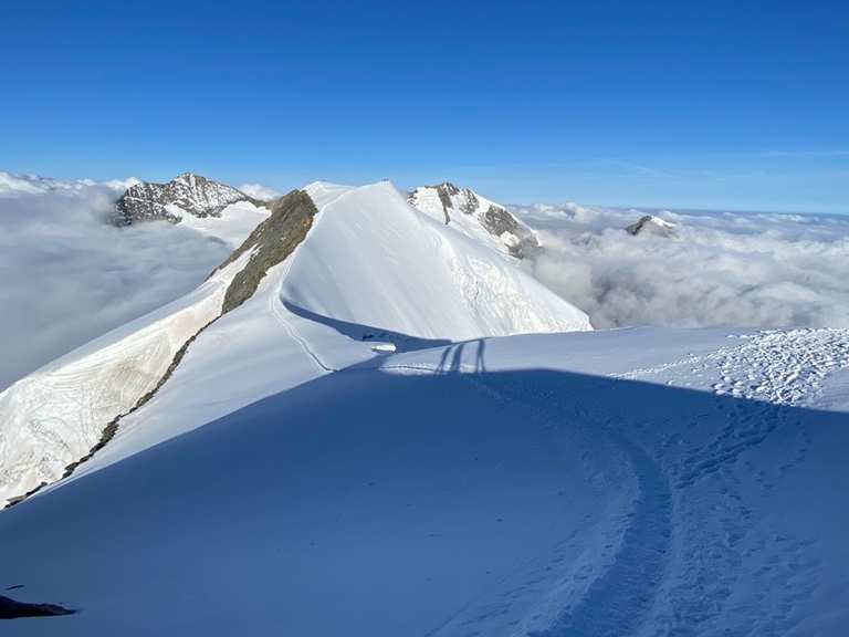 Bernina-Trek mit Piz Palü-Besteigung 2021 | Komoot