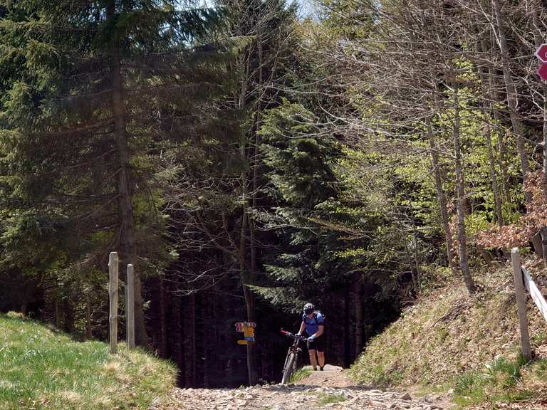 Brunnen- | Mountainbike-Tour | Komoot