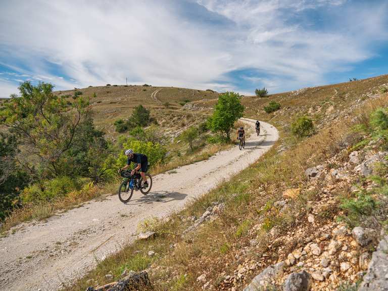 Following in the Footsteps of a Wolf – A Bikepacking Adventure | Bike ...