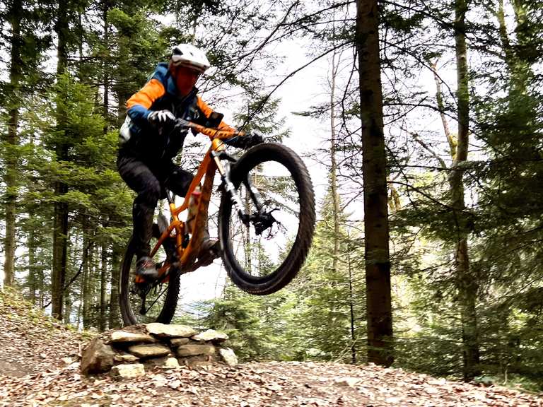 …nochmals ziemlich flowig über den Zugerberg..! | Mountainbike-Tour ...