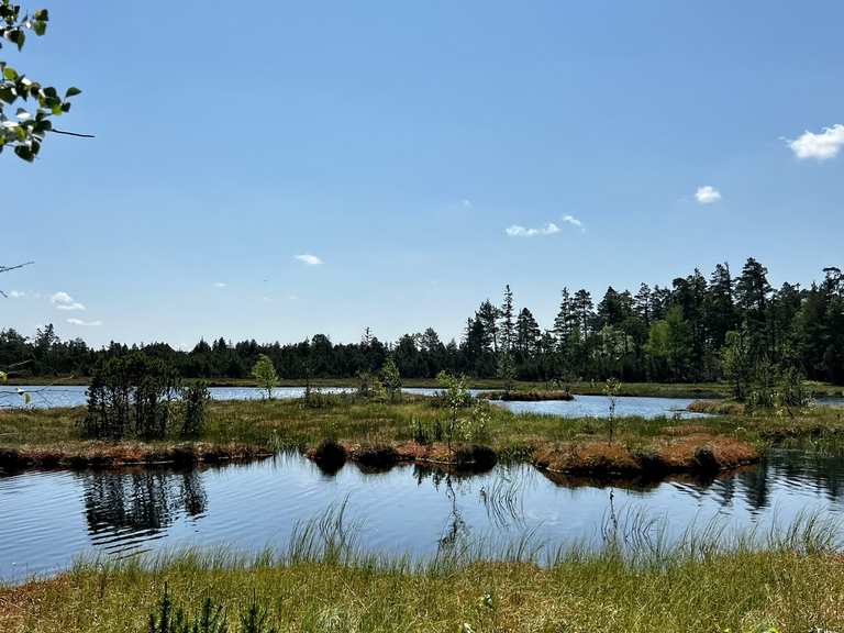 🙋‍♂️🙋🙋‍♂️🙋‍♀️von Kaltenbronn zum Hotel 🏨 zur alten Mühle 🌤 Hohloturm ☺️ ...