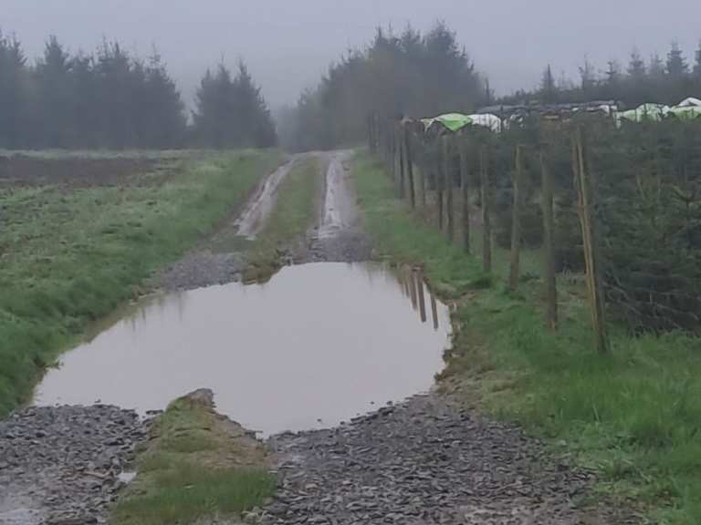 Der is da nich wirklich reingefallen.... oder ? 😜..... | E-Mountainbike ...