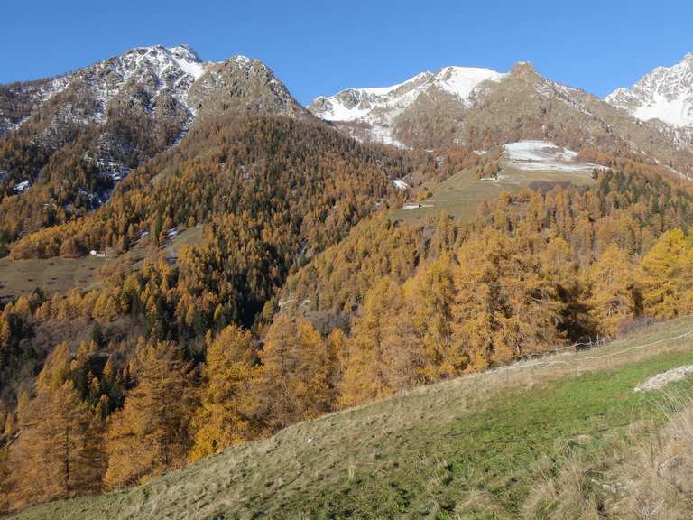 Le Mont Grand Pays en boucle (Val d'Aoste) - Entre neige et mélèzes ...