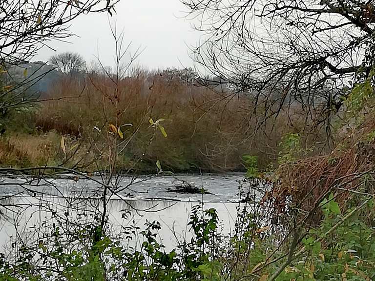 Die Lippe bei Bork oder die Wildnis vor der Haustür | hike | Komoot