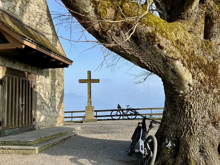 Michaelskreuz / Rooterberg auf feinen Trails | Mountainbike-Tour | Komoot