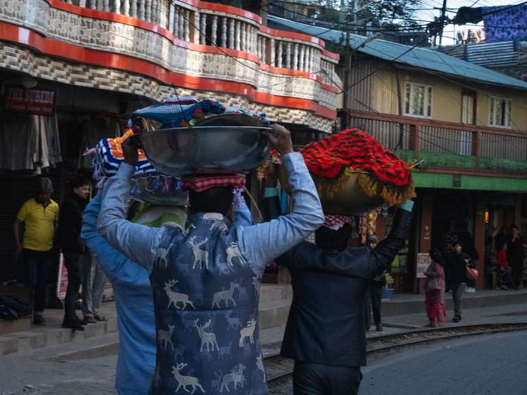 Temi Tea Estate: Sikkim, India. Day 68 | bike Tour | Komoot