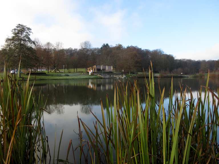 Badische Toskana - Tiefenbach - Elsenz - Eichelberg | Wanderung | Komoot