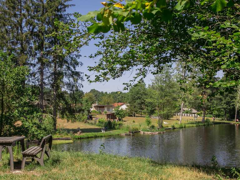 Rumberg-Steig / Ludwigswinkel | hike | Komoot