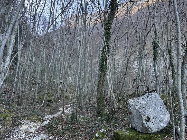 Piobbico - Balza Forata | Wanderung | Komoot