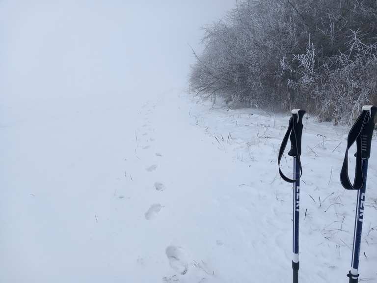 230125 Wällertour 06/23 | Greifenstein-Schleife (II) von Holzhausen bis ...
