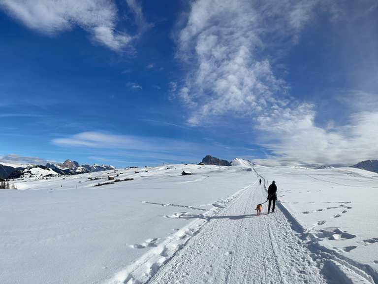 Seiser Alm: Compatsch - Spitzbühl - Panorama-Alm | Wanderung | Komoot