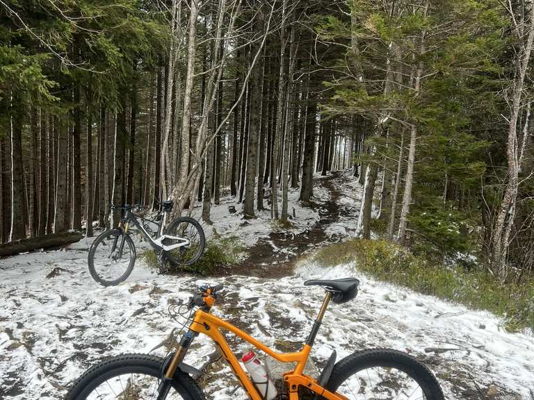 Pilatus Fräkmüntegg Grenzweg Wurzeltanz | Mountainbike-Tour | Komoot