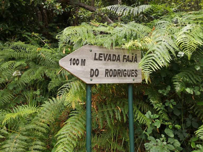 Levada faja do Rodrigues | Wanderung | Komoot