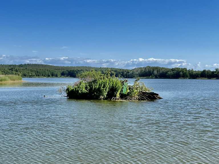 Schon wieder Usedom - Kleine Usedom Runde | Wanderung | Komoot
