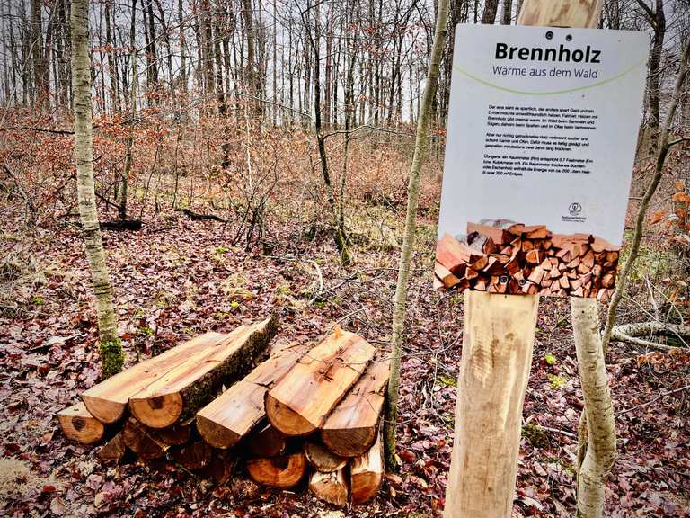 Kirchheimer Wald - Hahnweide - Bürgerseeen | Wanderung | Komoot