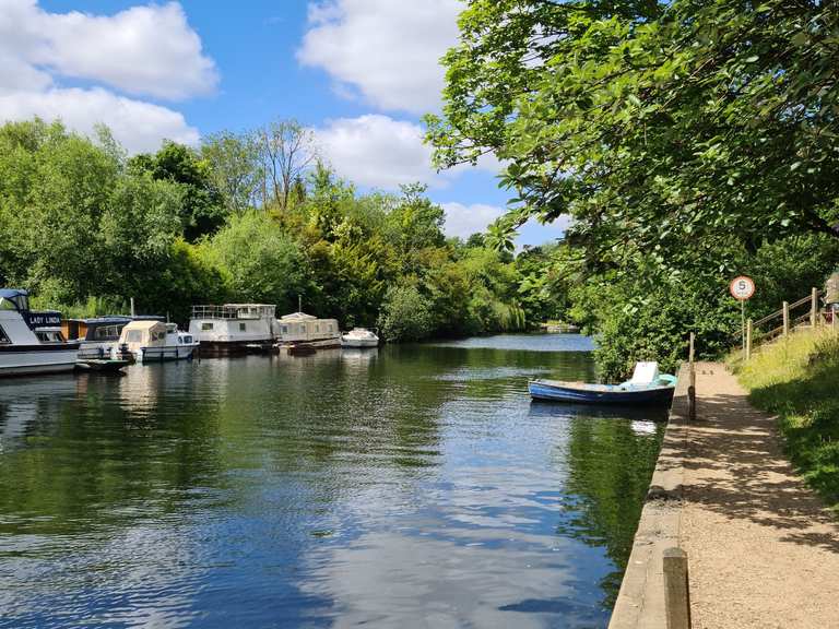 Cary's Meadow and Thorpe Marshes 5 miles | hike | Komoot