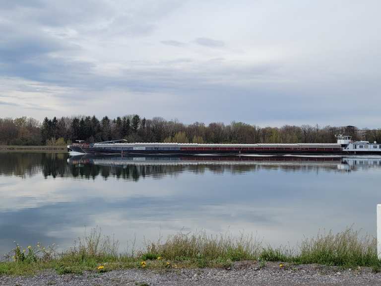 Iffezheim - Greffern - Stollhofen - Hügelsheim | bike Tour | Komoot