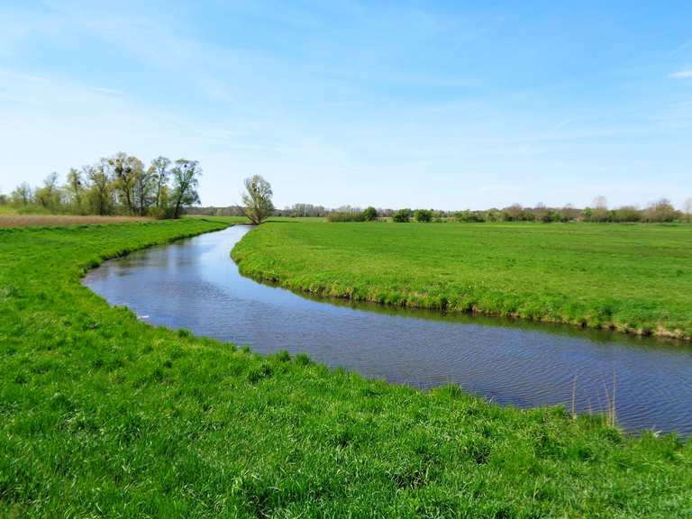 NSG Ferbitzer Bruch, Deich am Fahrlander See, Sacrow-Paretzer Kanal [RB ...