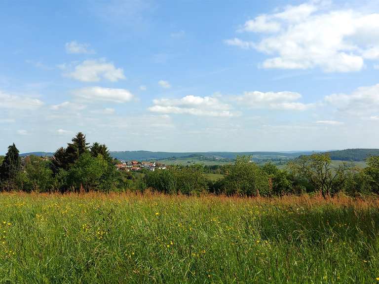 Aichwald-Aichelberg 🙋‍♂️🙋‍♀️- 🌞🌳🌲🌸🦋RW 10 - durch den Schachenwald und ...