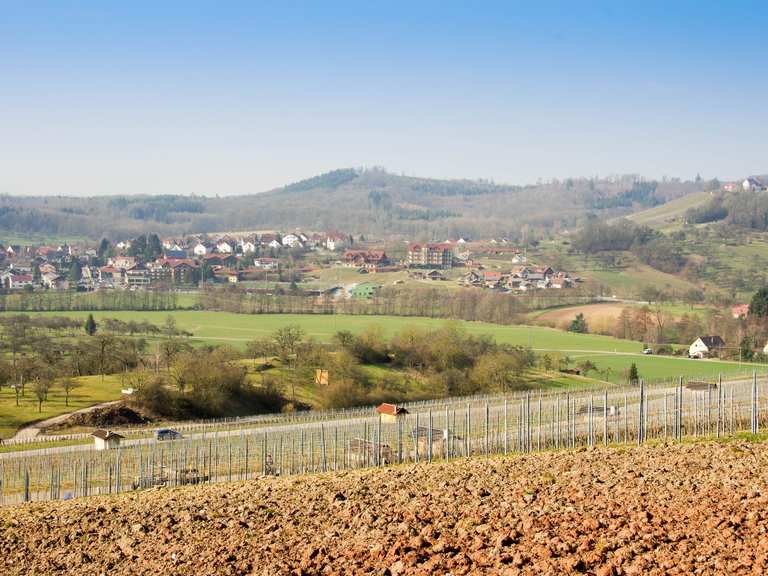 Wanderung Von Kleinaspach Durch Die Weinberge Nach Föhrenberg