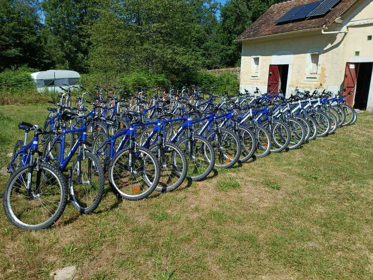 Locacycles: piste cyclable et route forestière en forêt de Rambouillet ...