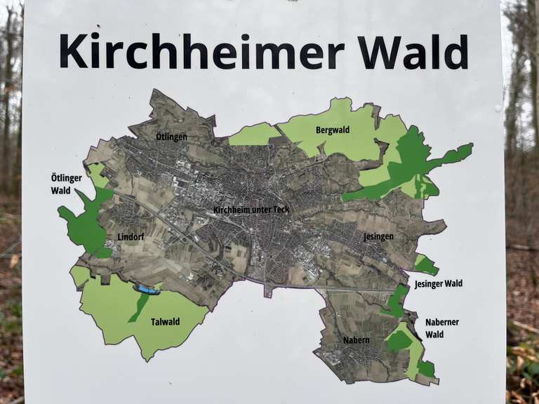 Kirchheimer Wald - Hahnweide - Bürgerseeen | Wanderung | Komoot