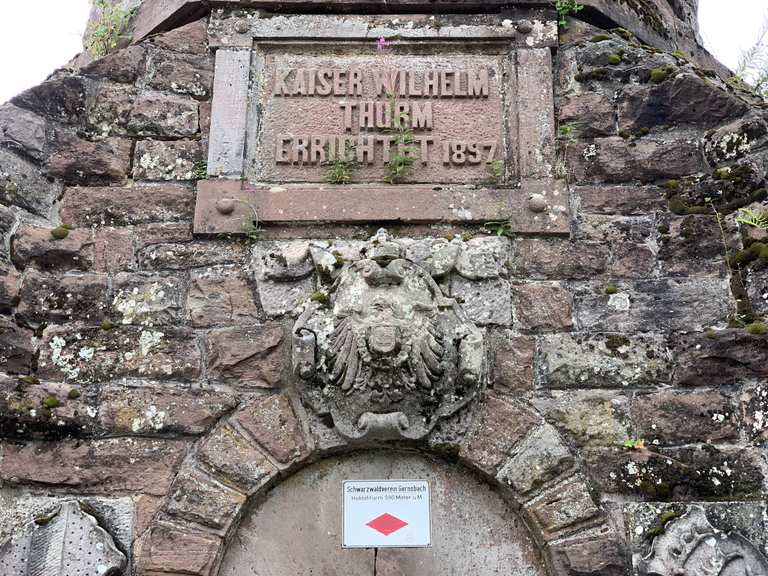 Hohloh - Turm - See - Moor (netter Spaziergang) | Wanderung | Komoot