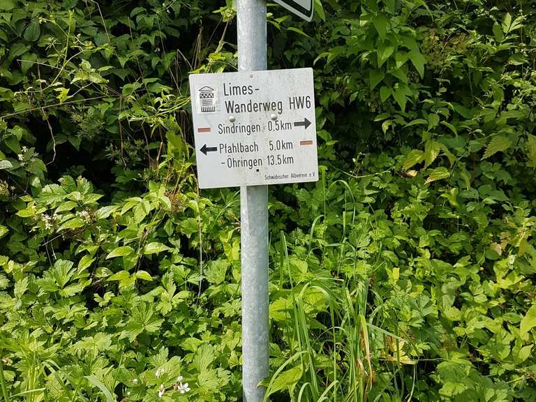 Sindringen am Kocher | Wanderung | Komoot