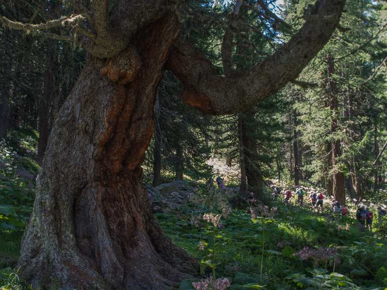 2020/6.Tag: Mathon >idyllischer Berglisee / retour >Larein-Alpe >Weg ...