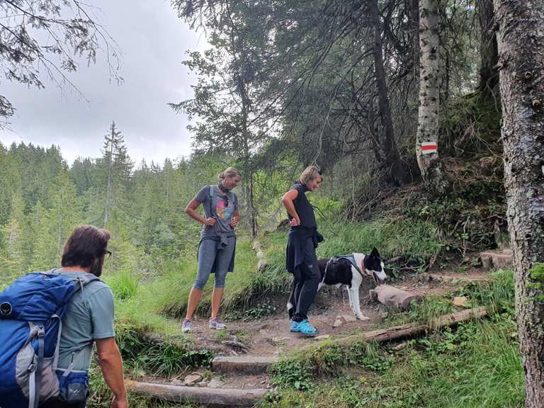 Wanderung mit Steph, Urs & Billy 23.08.2020 | Wanderung | Komoot