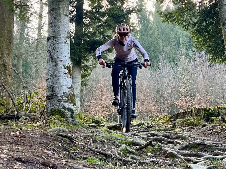 Michaelskreuz / Rooterberg auf feinen Trails | Mountainbike-Tour | Komoot