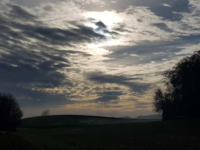 🇨🇭 ZH_Tagelswangen | Wanderung | Komoot