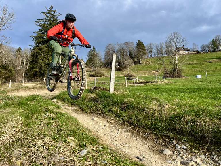 Flowig über den Zugerberg… | Mountainbike-Tour | Komoot
