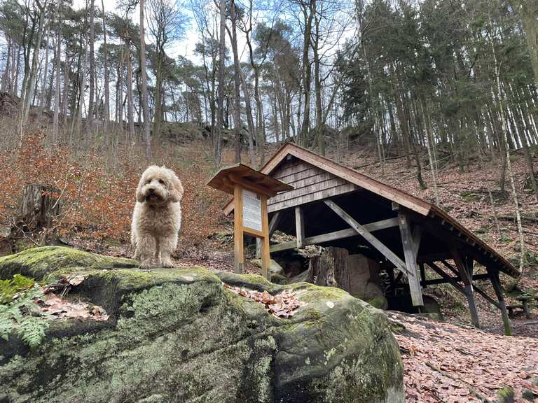 Heidenfelsen Pagan springs hike Landstuhl | hike | Komoot